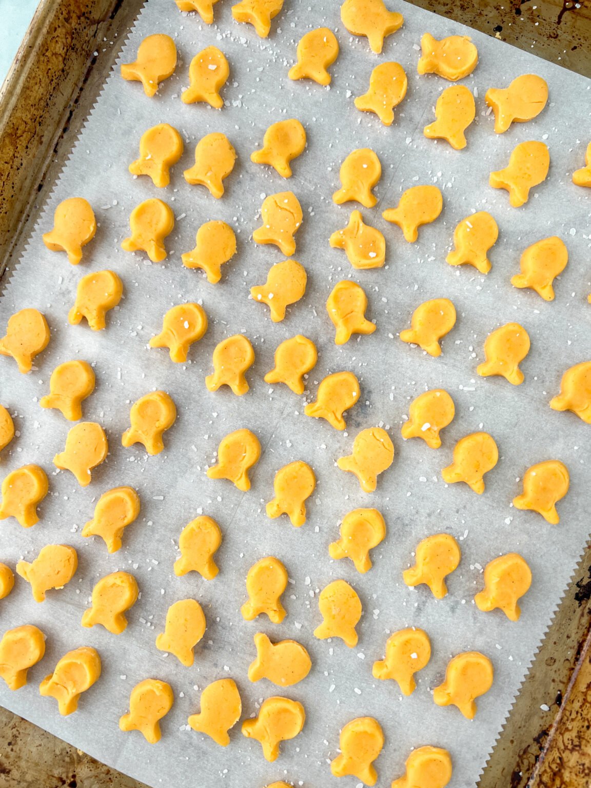 6 Gluten-Free Goldfish Alternatives and a Homemade Goldfish Cracker Recipe!